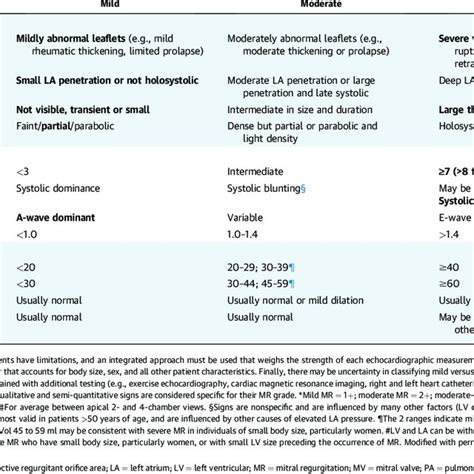 Mitral Valve Classification