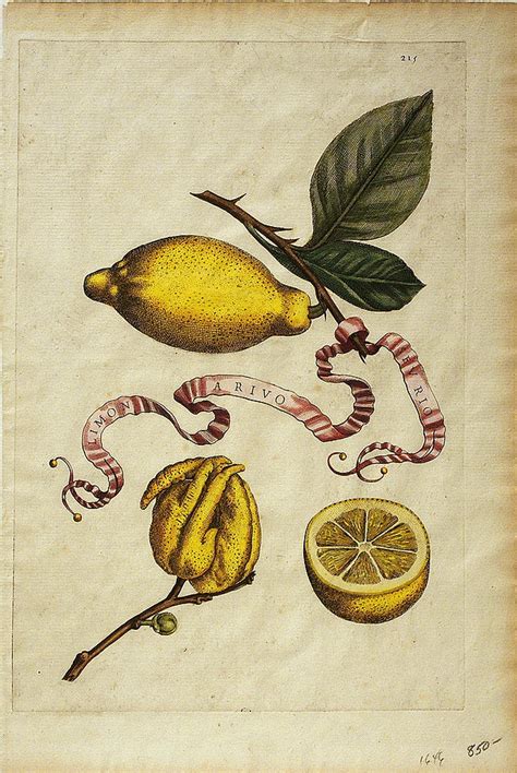 About Antonio Raimo Gallery