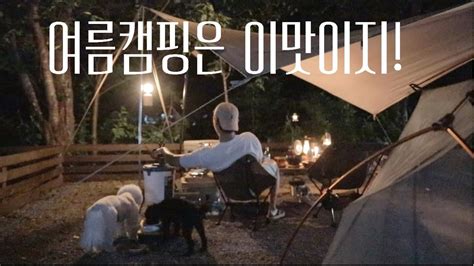 계곡있는 애견캠핑장ㅣ개별울타리는 기본 시설도 좋아ㅣ인제 반디하우스ㅣ애견캠핑ㅣ폴러스터프 투맨ㅣ감성캠핑 Youtube