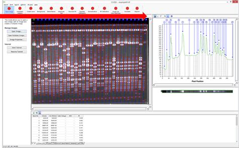 cliqsシリーズ 電気泳動ゲル画像からの系統樹解析ソフトウェア （株）スクラム