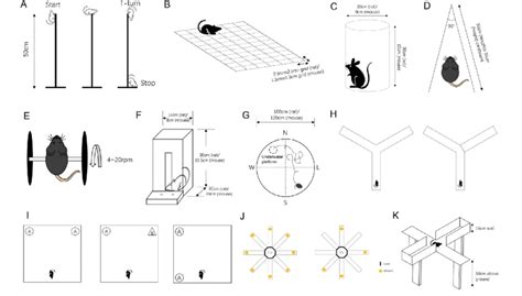 Illustration Of Commonly Used Behavioral Tests In Rodent Models Of