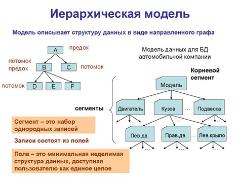 Схема иерархической модели данных 85 фото
