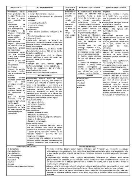 Modelo Canvas Pdf Cupón Business