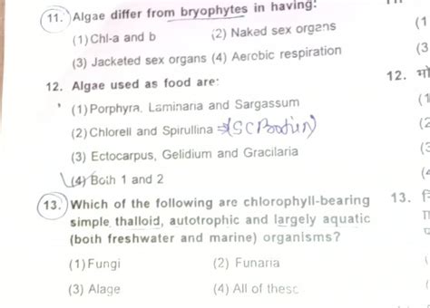 Algae Differ From Bryophytes In Having Filo