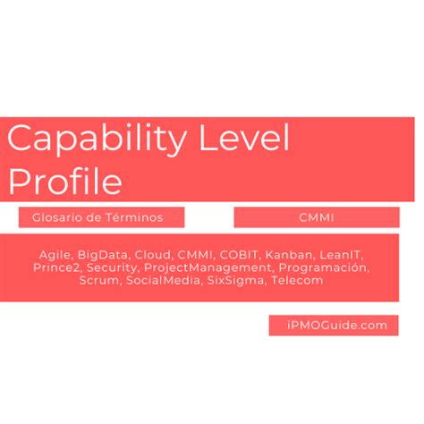 Capability Level Ipmoguide
