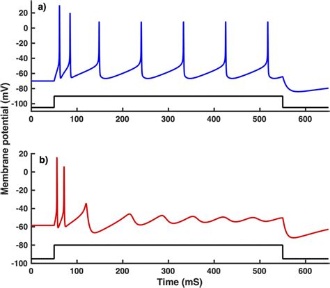 Membrane Potential Time Traces From Model Inhibitory Neurons Panel A Download Scientific