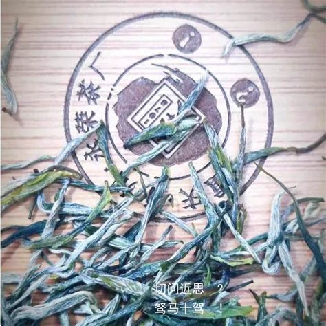 Green Tea Yongchuan Xiuya 2024 New Tea Mingqian Tea Special Grade