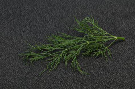Premium Photo Fresh Green Dill Herb Branch