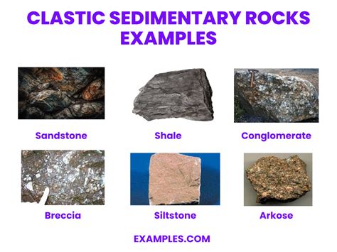 8 Sedimentary Rocks Examples