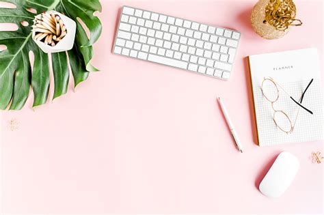 플랫 평신도 홈 오피스 데스크 컴퓨터와 여성 작업 공간 열대 야자수 잎 몬스터 분홍색 배경에 액세서리 맨 위 보기 배경 0명에