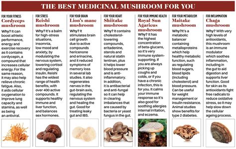 Medicinal Mushrooms 7 Types And Their Health Benefits Womens Fitness