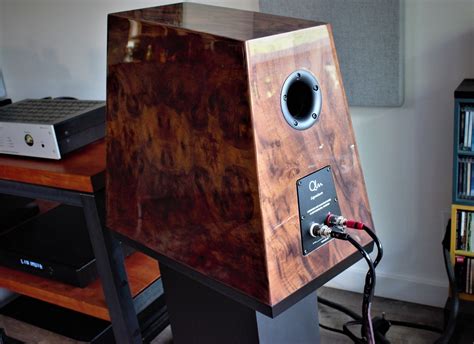 Qln Signature Review Part Time Audiophile — Well Pleased Audio Vida