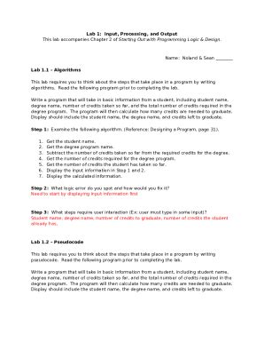Lab 1 Input Processing And Output Programming Logic And Doc