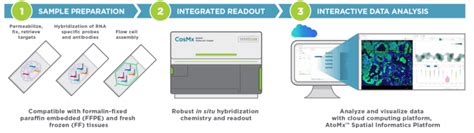 The First Fully Integrated Single Cell Spatial Solution Nanostring