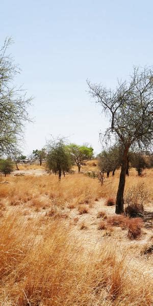 Meteo Bobo Dioulasso Burkina Faso Hauts Bassins Prévisions Meteo