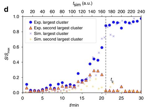 Experimental And Computer Simulation Observation Of Aggregating