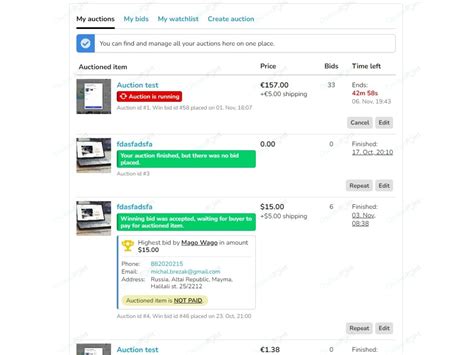Online Auctions Plugin For Classifieds Cms Osclass Advertisement And
