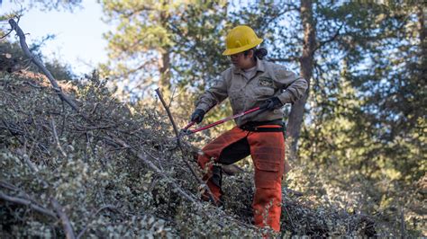 Nff And The San Bernardino National Forest Partner On Post Fire