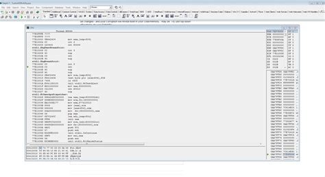 Crash Delphi Project Having Appcrash Because Of Project S Dsk File