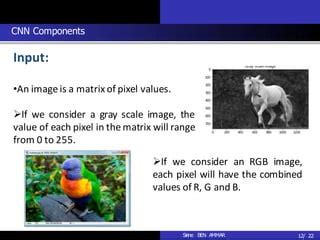 Convolutional Neural Network And Its Application Pdf