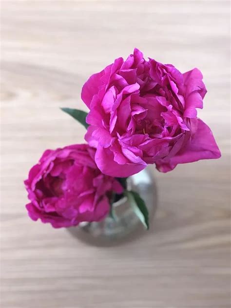 How To Fix Link Failure A Common DisplayPort Issue