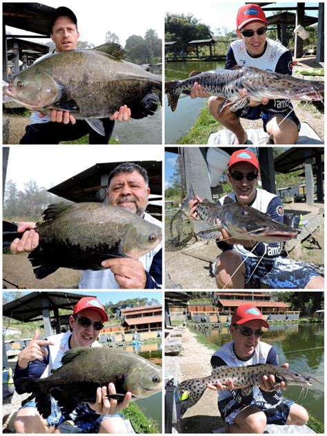 PESQUEIRO RANCHO DA PESCA SOROCABA SP ESTRUTURA IMPECÁVEL VARIEDADE DE ESPÉCIES E GRANDES