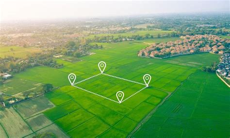 В Алматинской области выявлено 514 тыс га неиспользуемых земель