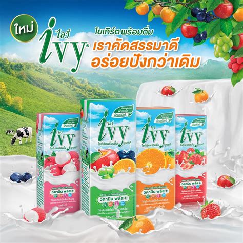 Ivy ไอวี่ นมเปรี้ยวพร้อมดื่ม ยูเอชที รสลิ้นจี่ แพ็ค 4 กล่อง Kacee