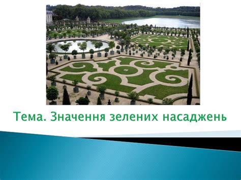 Значення зелених насаджень