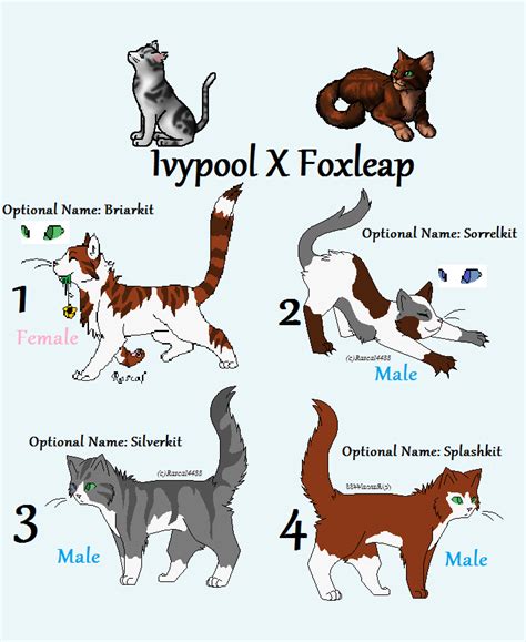 Wc Dream Pair Adoptables Ivypool X Foxleap By Haoslumagrowl On Deviantart