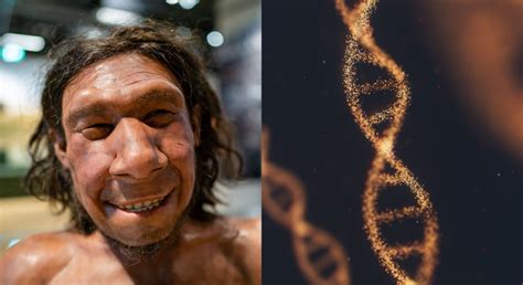 Genetic Engineer Shares Six Of Your Traits That Could Come From