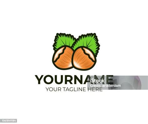 헤 즐 넛 잎 로고 디자인입니다 너트 영양과 과일 잎 벡터 디자인 천연 유기농과 채식 음식 일러스트 레이 션 로고에 대한 스톡 벡터 아트 및 기타 이미지 Istock