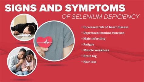 Selenium Complete Nutrirestore Selenium Complete Nutrirestore