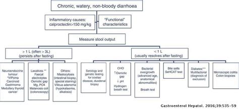 Chronic Diarrhoea Definition Classification And Diagnosis
