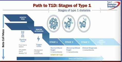Ispad 2024 Highlights The Glucose Never Lies®