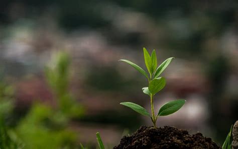 How To Reduce Cloud Cost By 99 For Eda Kafka Apps