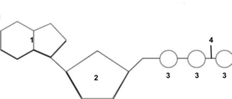 Biology Unit 3 Concept 2 Adenosine Triphosphate Flashcards Quizlet