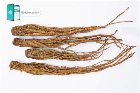 Polyp cổ tử cung là gì 9 lưu ý quan trọng cần lưu ngay