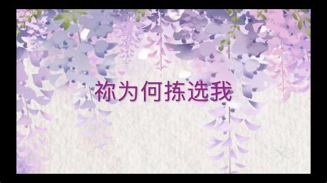 祢为何拣选我 Youtube