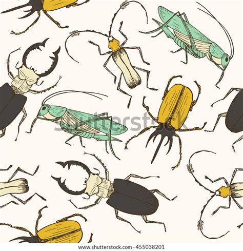 Seamless Bug Pattern Funny Hand Drawn Stock Vector Royalty Free 455038201