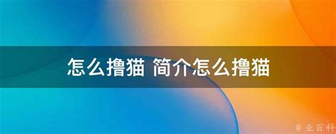 怎么撸猫 简介怎么撸猫 业百科