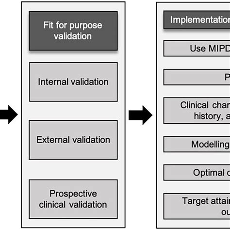 schematic workflow of model informed precision dosing implementation