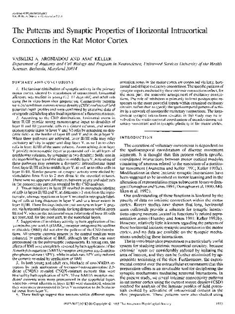 Pdf The Patterns And Synaptic Properties Of Horizontal Intracortical