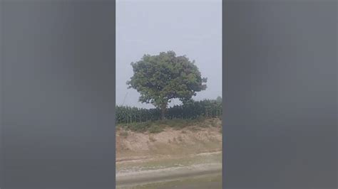 কবর হলো খুব অন্ধ কার Youtube