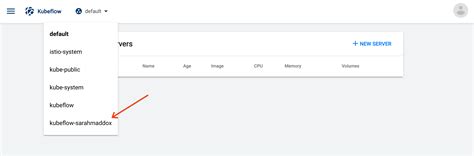 Quickstart Guide Kubeflow