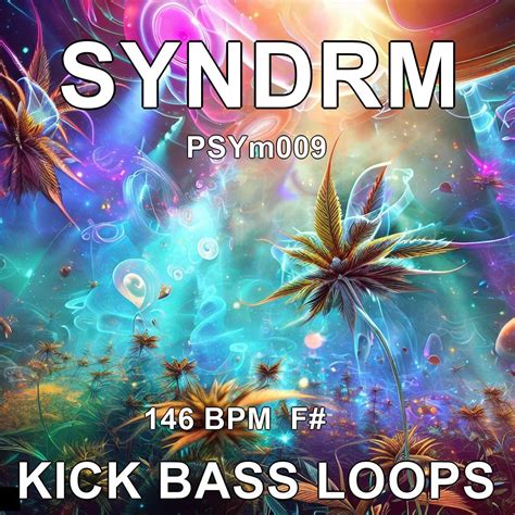Syndrm Psym009 Kick Bass Loop Patterns Grooving Kicks Rolling