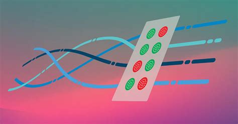The Pros And Cons Of Using Pact For Contract Testing