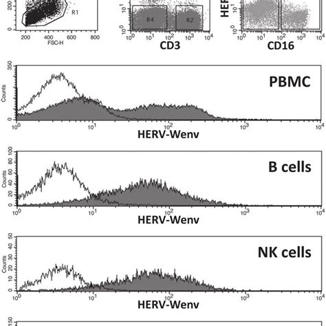 Flow Cytometry Analysis In Pbmc Subpopulations Of Ms Patients During