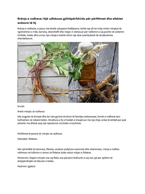 Rrënja E Rodheve Pdf