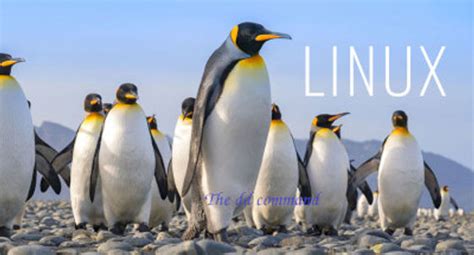 using the dd command for a linux iso